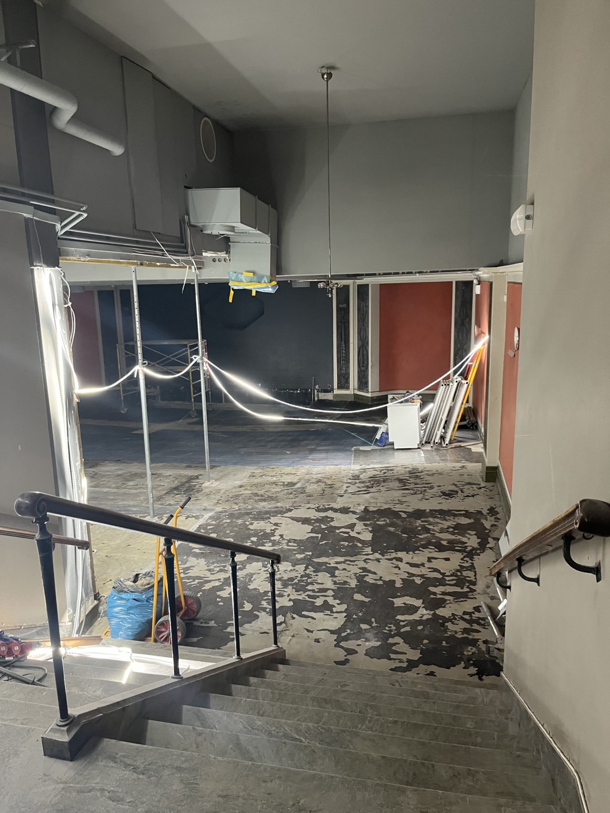 Historik - Bio Fågel Blå