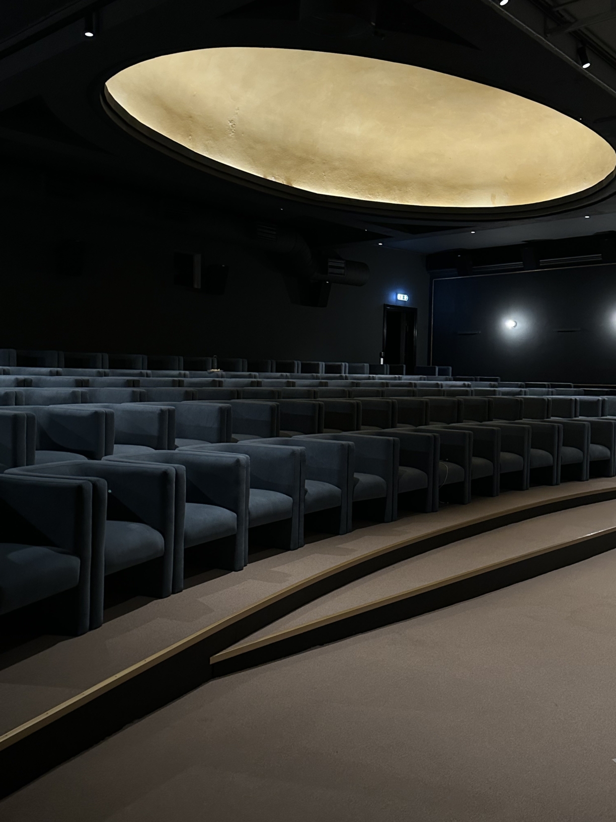 Bio Fågel Blå 1926