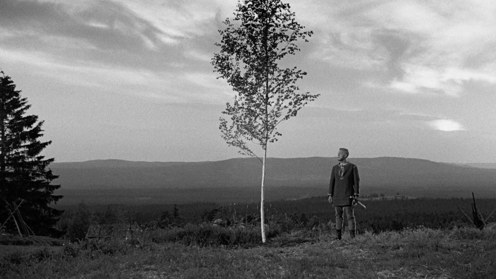 Jungfrukällan - Bio Fågel Blå